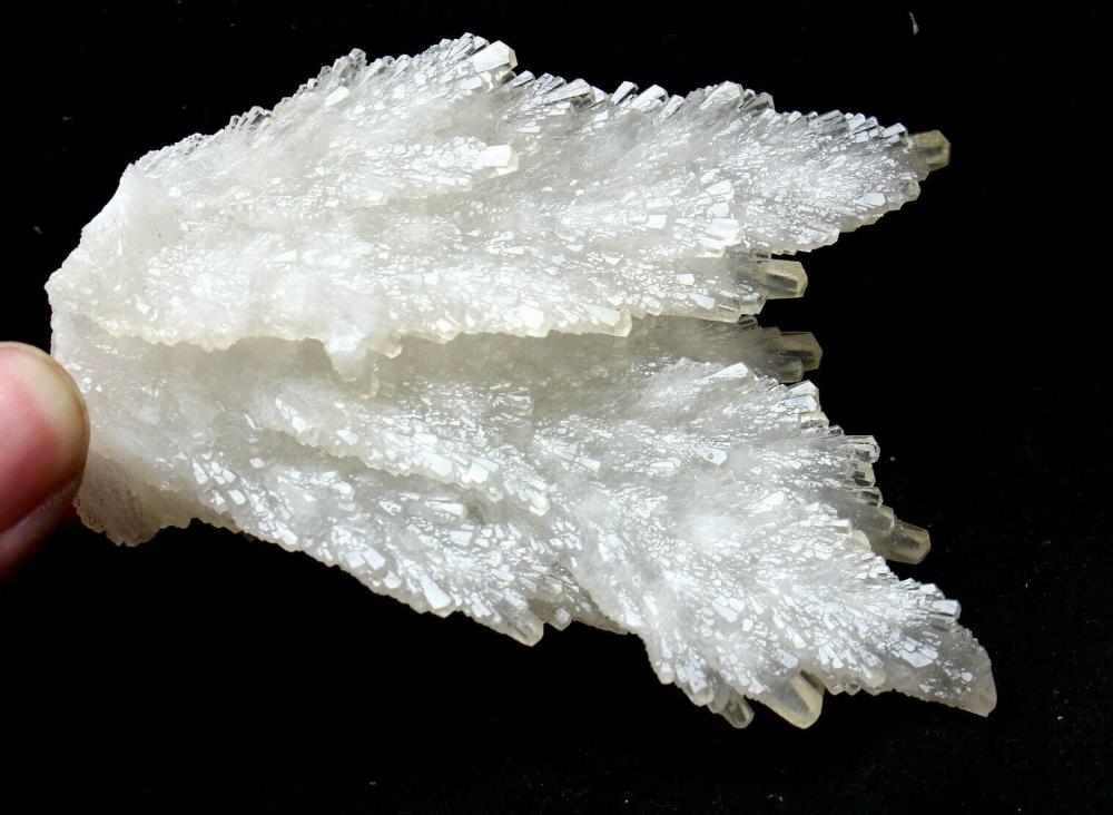 Angel Wing Calcite Meaning and Spiritual Properties